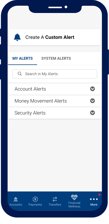 Wintrust Community Banks Online & Mobile Banking | Wintrust Bank, N.A.